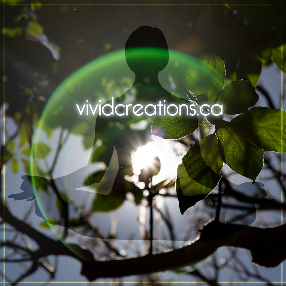 Vivid Creations
